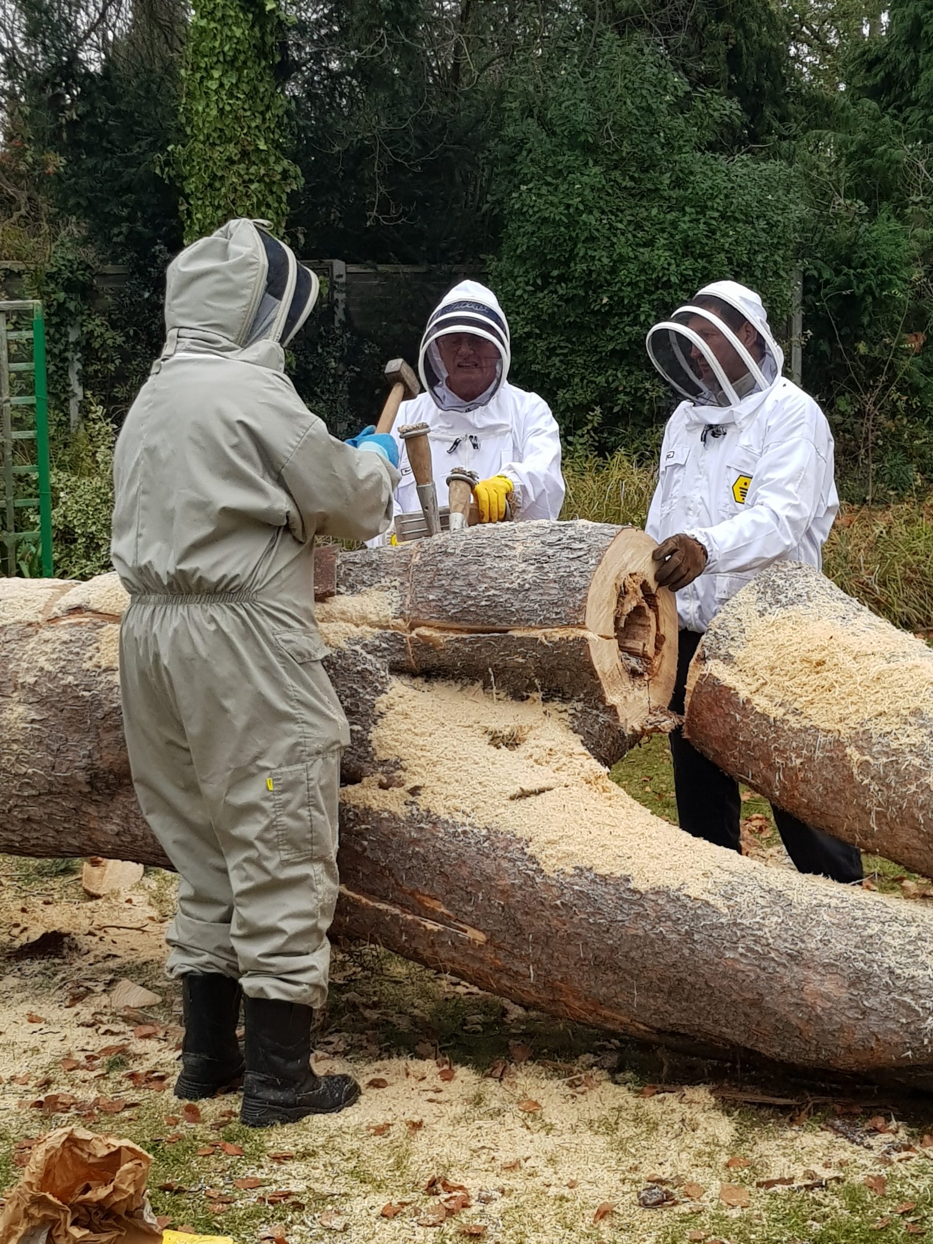 Bees in Trees – Weybridge Beekeepers