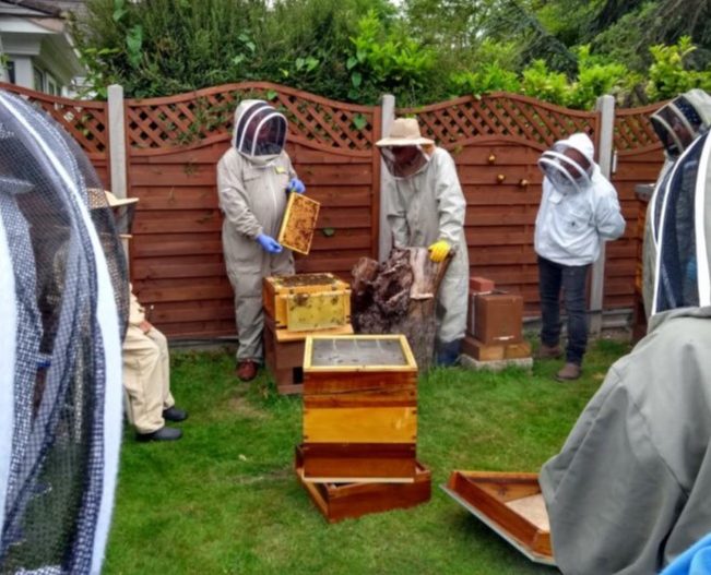 Weybridge Beekeepers – Weybridge Beekeepers, division of Surrey Beekeepers